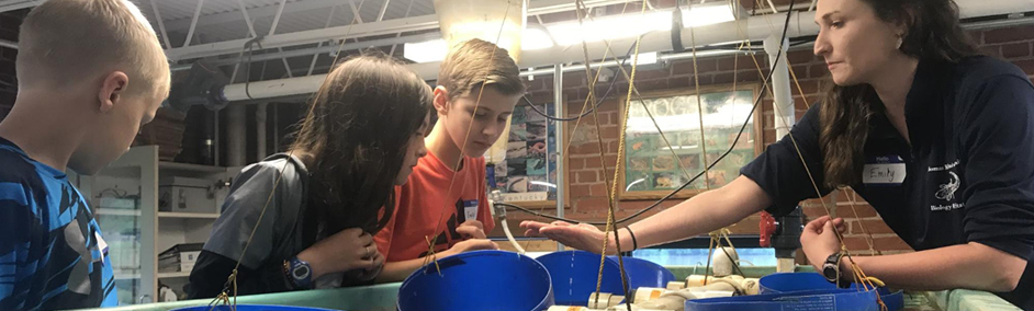 A Day in the Life of an Environmental Educator – MOREOVER