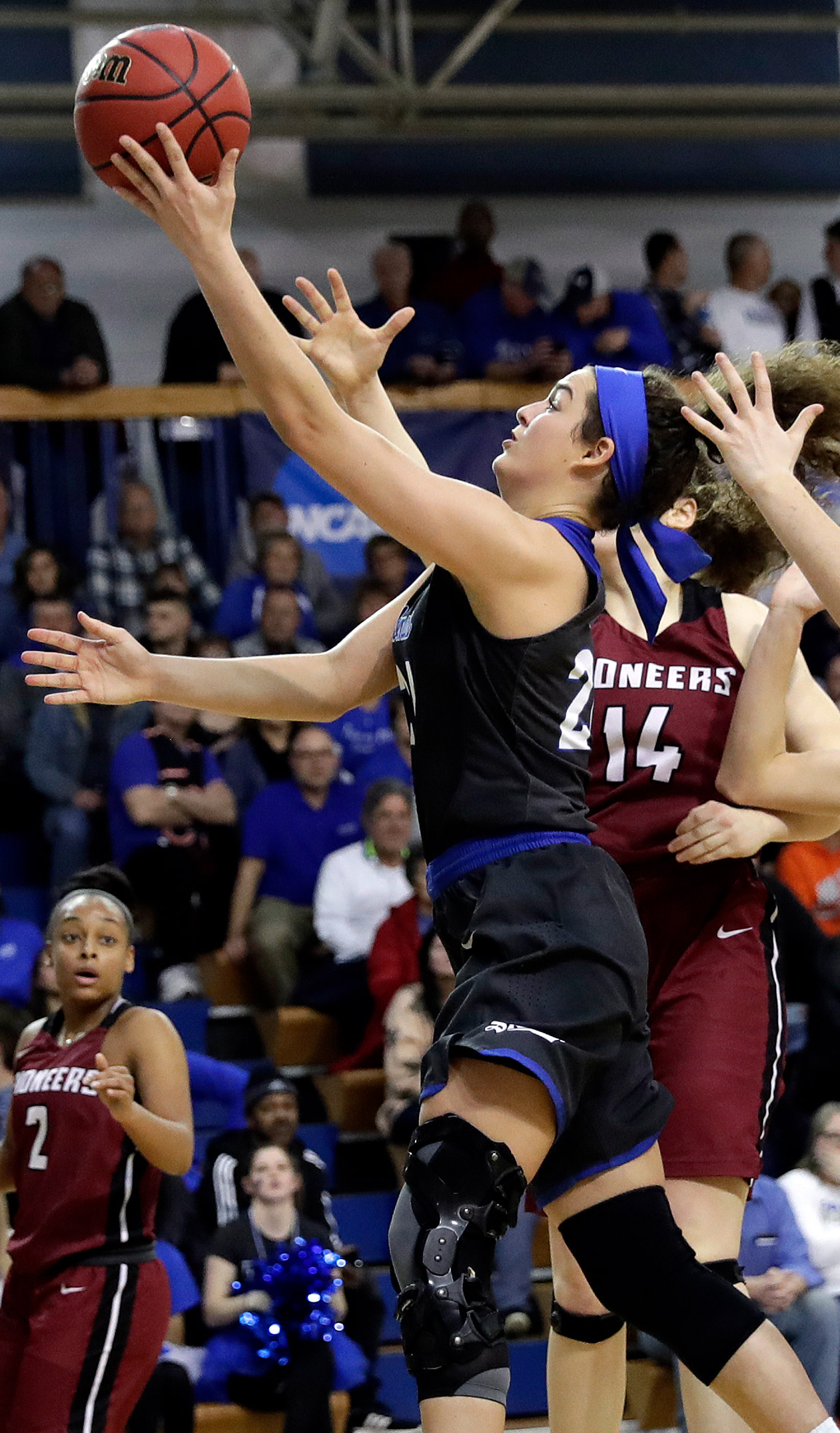 Thomas More Announces 2024 Athletic Hall of Fame Class – MOREOVER