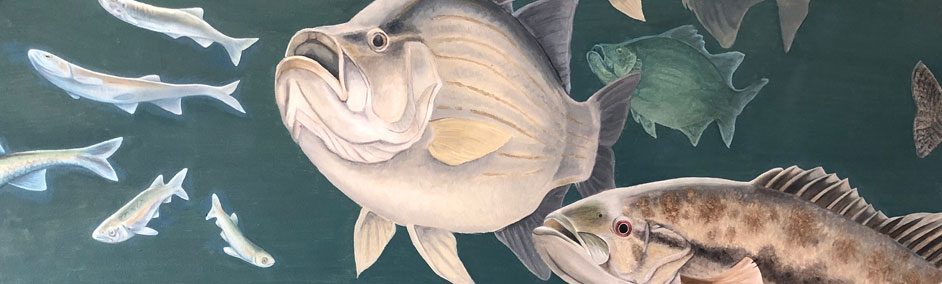 A Day in the Life of the Lab Crew – MOREOVER